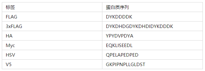 【质粒介绍】分解篇4-蛋白检测标签